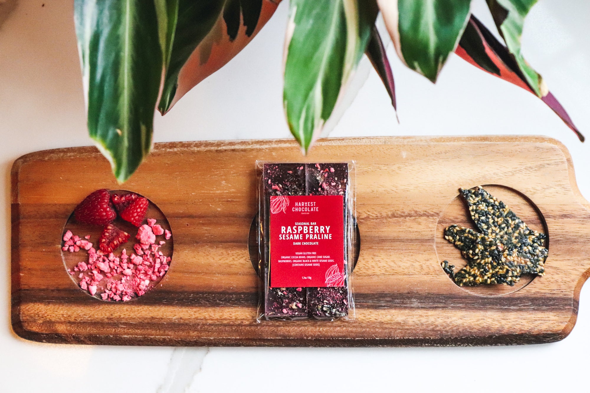 Harvest Chocolate: Seasonal Bean to Bar Chocolate | Tecumseh, Michigan