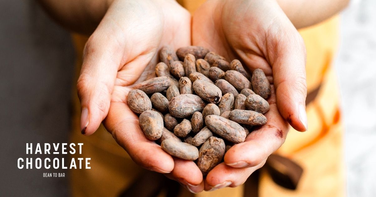 Harvest Chocolate | Craft Chocolate Made in Michigan